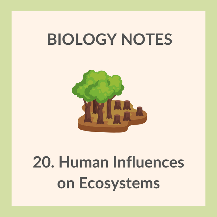 Study Notes | IGCSE Biology 0610 | 20. Human Influences on Ecosystems ...