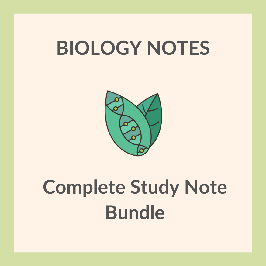 Study Notes | IGCSE Biology 0610 | Complete Study Note Bundle – StudyBuddy