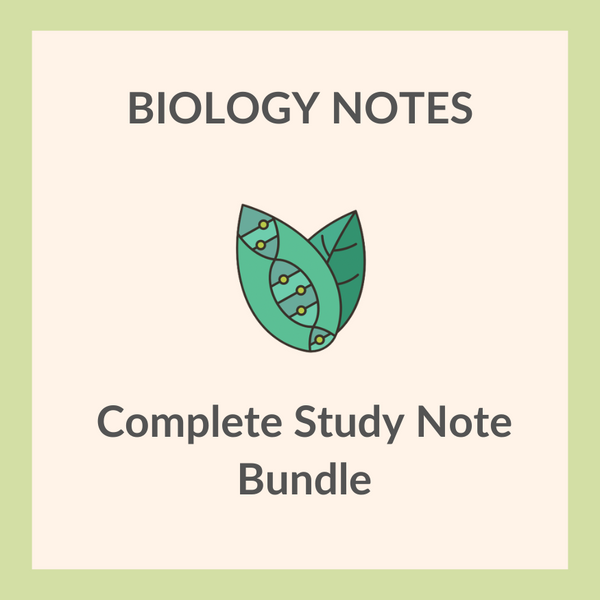 Study Notes | IGCSE Biology 0610 | Complete Study Note Bundle – StudyBuddy