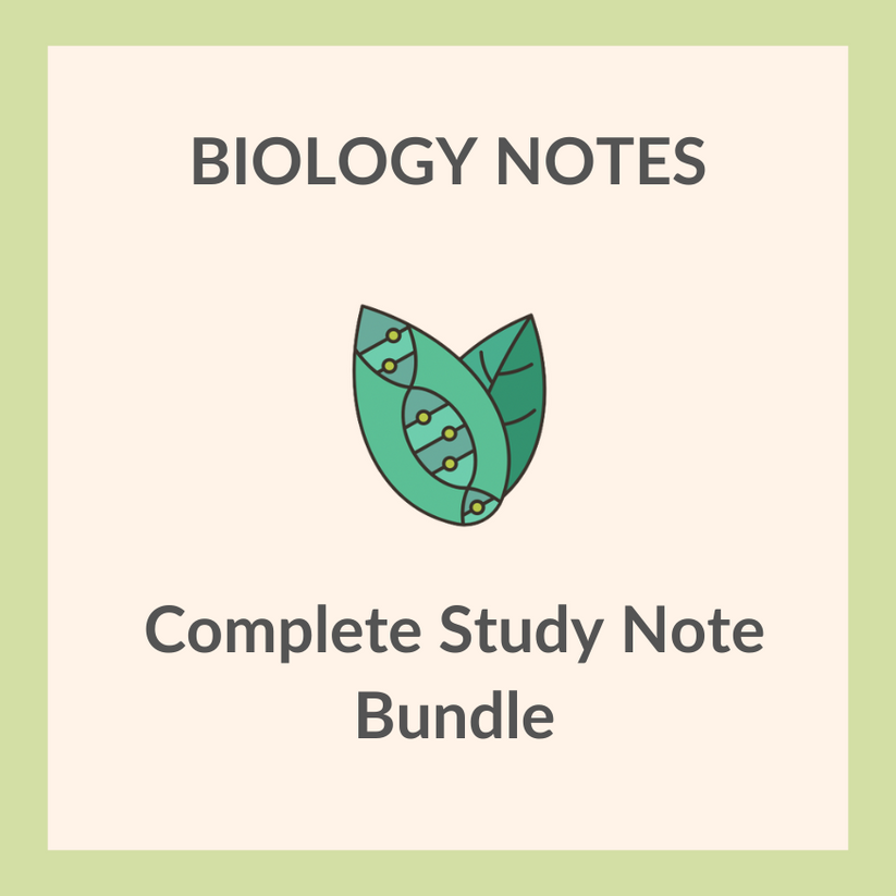 Study Notes | IGCSE Biology 0610 | Complete Study Note Bundle – StudyBuddy
